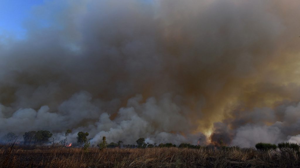 The best fire management system is in northern Australia and it’s led ...