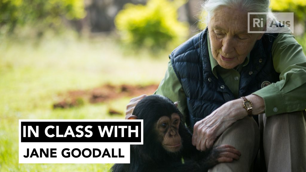 In Class With... Jane Goodall - COSMOS Education
