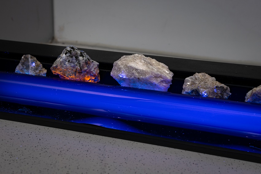 Got a new UV torch? Here are some things to shine it on - COSMOS Education