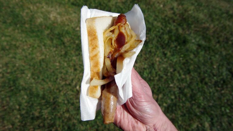 The science of the sausage sizzle - COSMOS Education