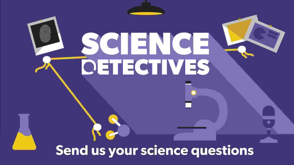 SCIENCE DETECTIVES: Why are mangroves important? - COSMOS Education