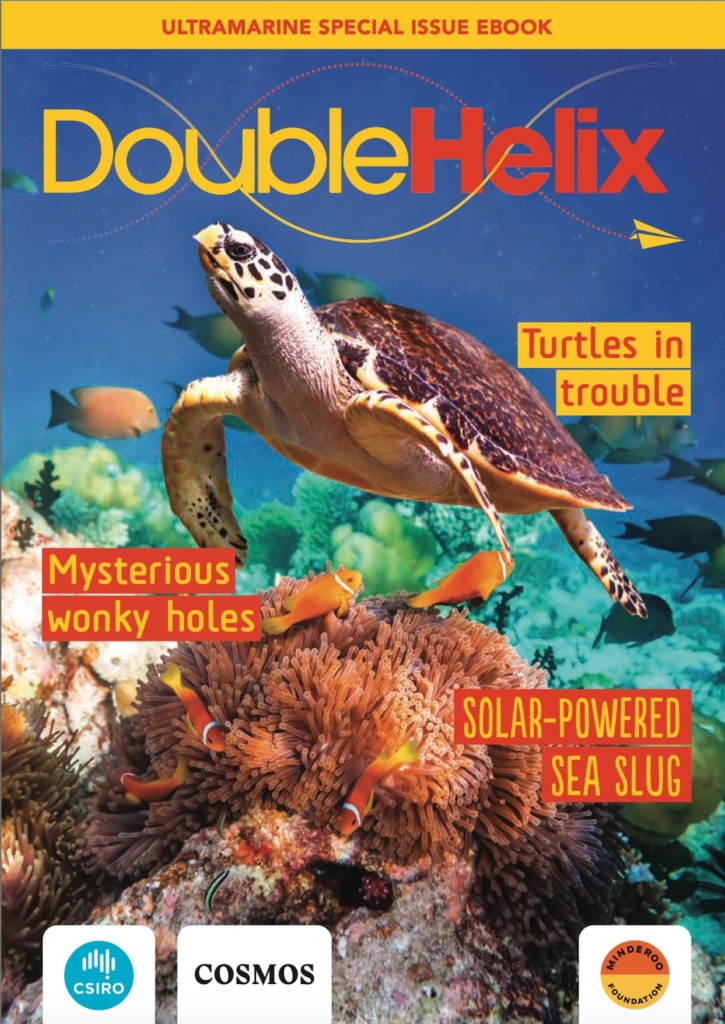 Double Helix - Ultramarine eBook Issue - COSMOS Education